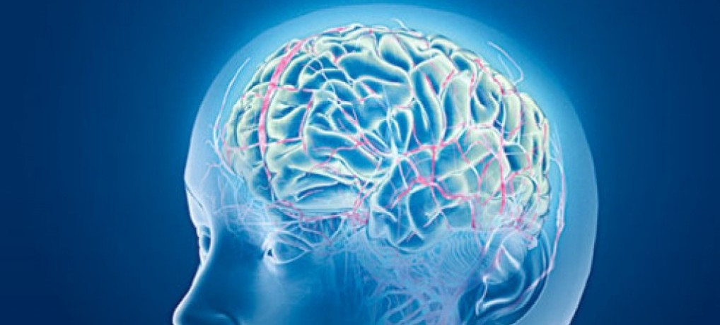 ¿Qué es la enfermedad mental? - FEAFES Huelva, salud mental ¿Qué es la enfermedad mental? - FEAFES Huelva, salud mental